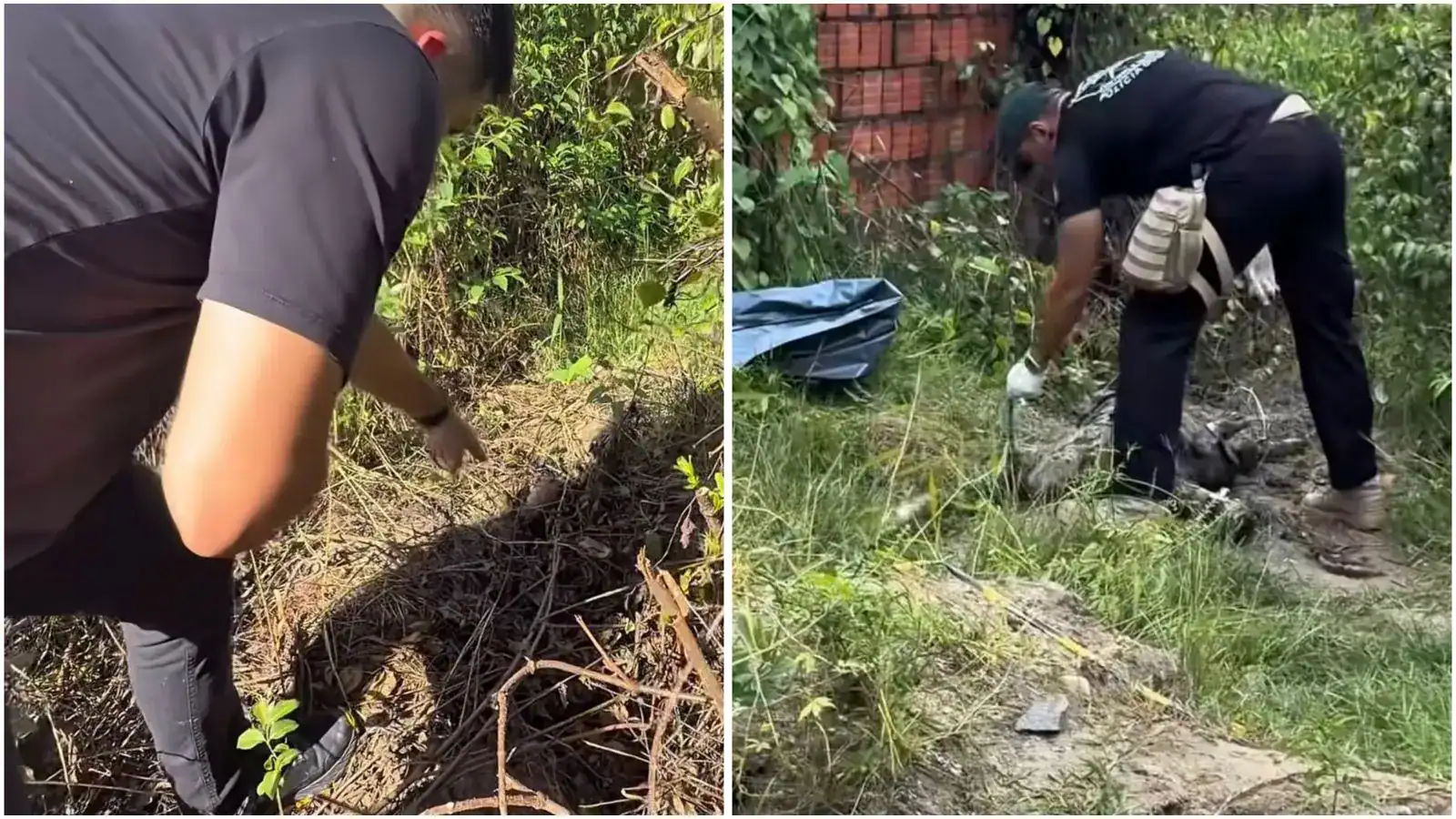 Deputado encontra corpo em matagal ao gravar vídeo em Caucaia – Jetss BR